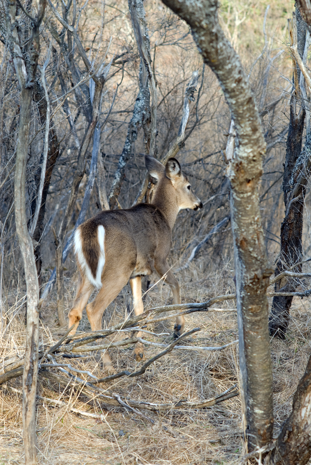 Greenbelt Trails, Kanata, Ontario | MegaPixel Travel